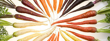 Beta-Carotene and Effects on Skin Color - Shaklee Health Resource